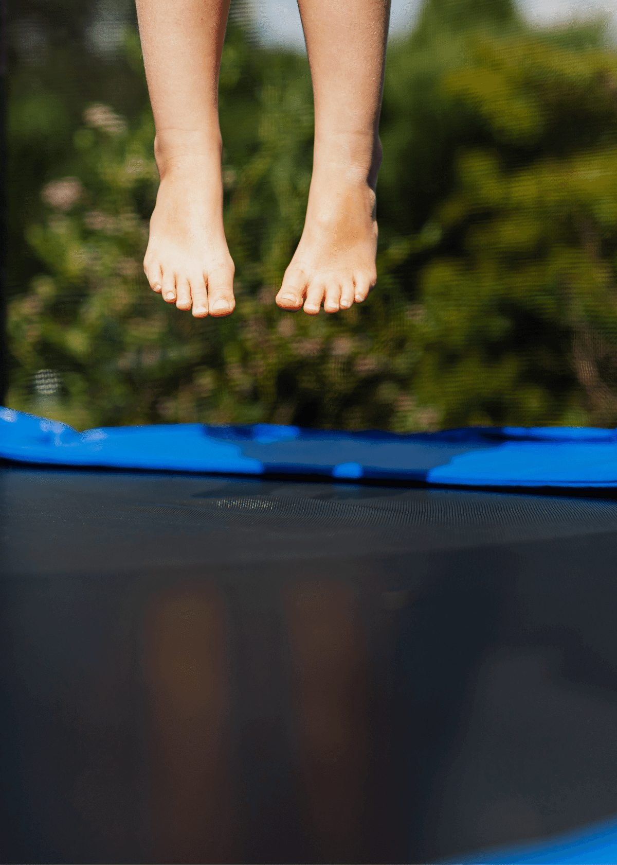 Get Your Backyard Bouncing Today!